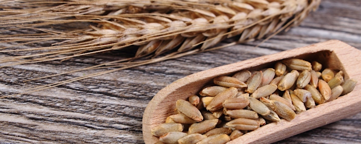 Centeio e o seus benefícios para uma vida mais saudável