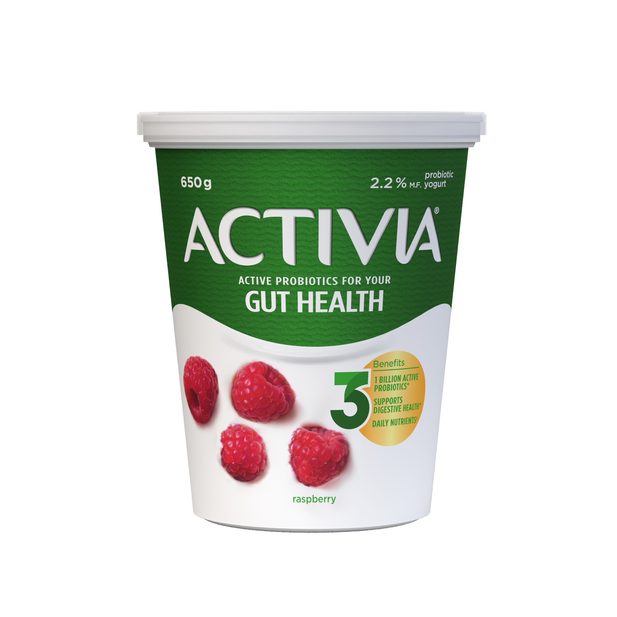 Vanilla Probiotic Yogurt | Activia