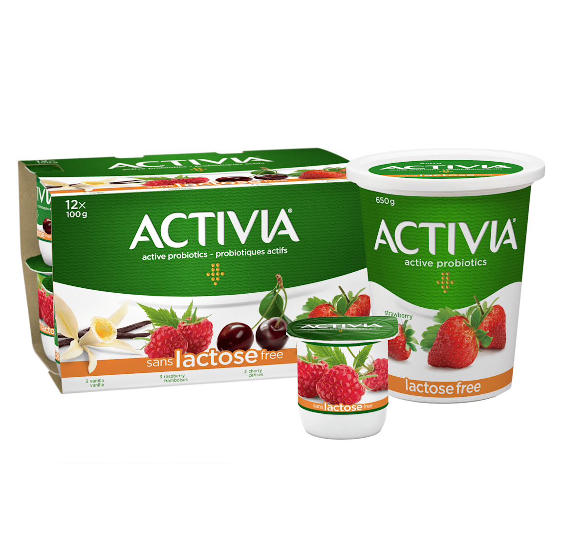 Lactose Free Vanilla Probiotic Yogurt | Activia