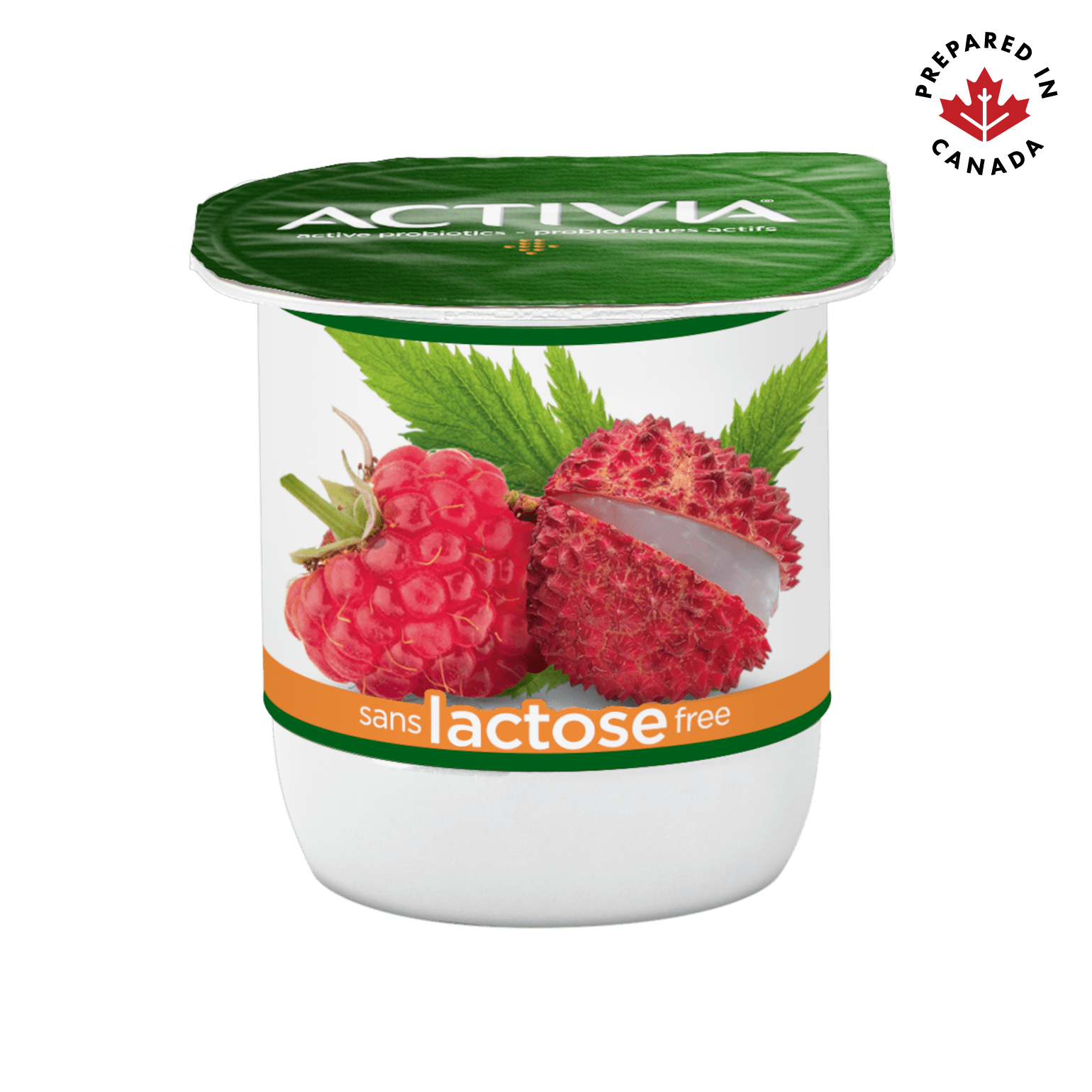 Lactose Free Vanilla Probiotic Yogurt | Activia