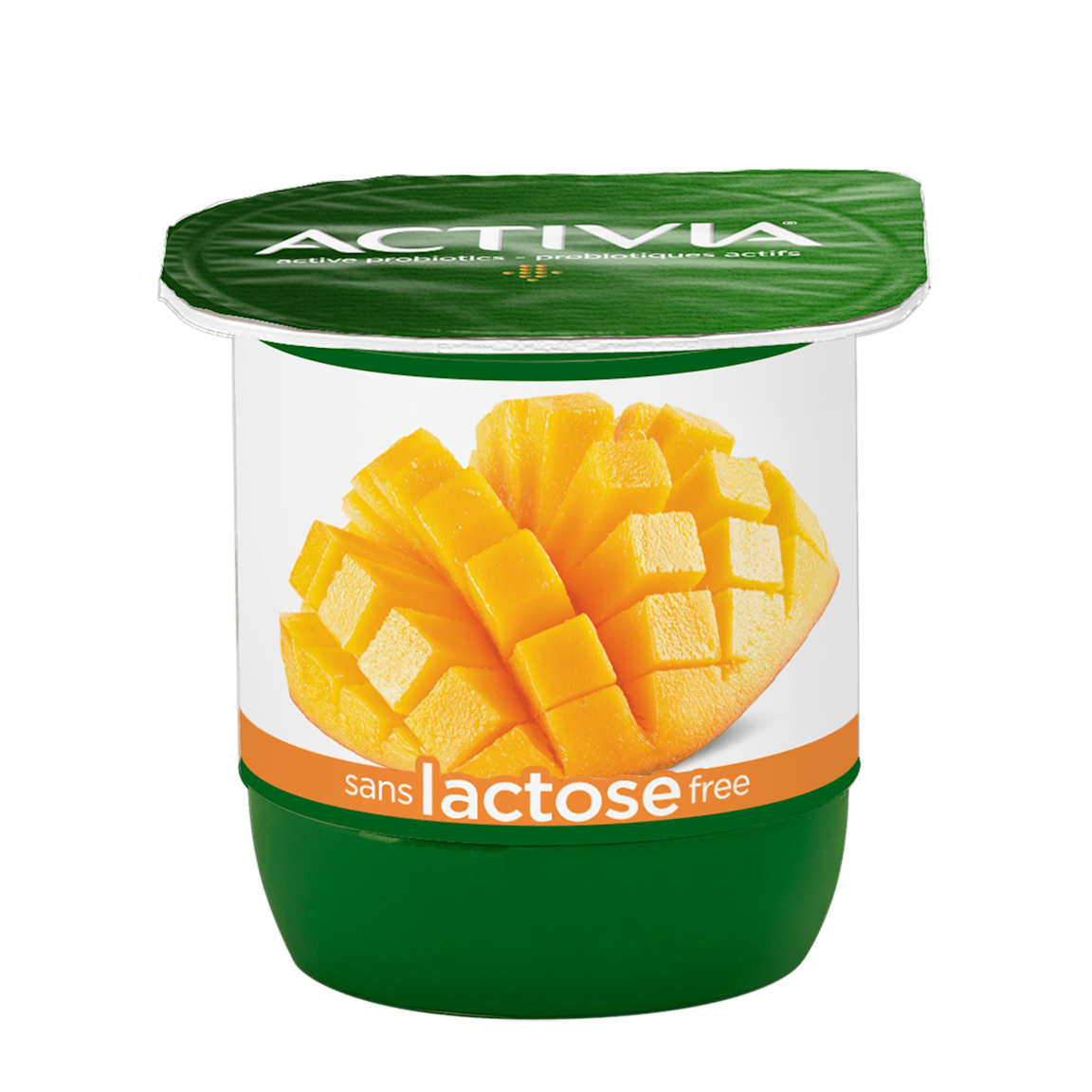 Lactose Free Vanilla Probiotic Yogurt | Activia