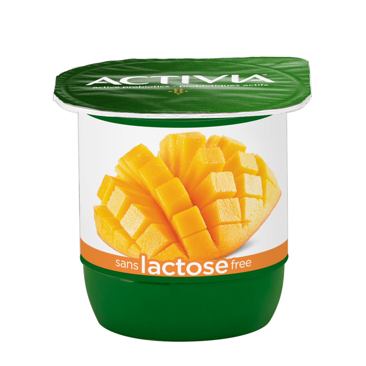Yogourt Sans Lactose à la Vanille | Activia