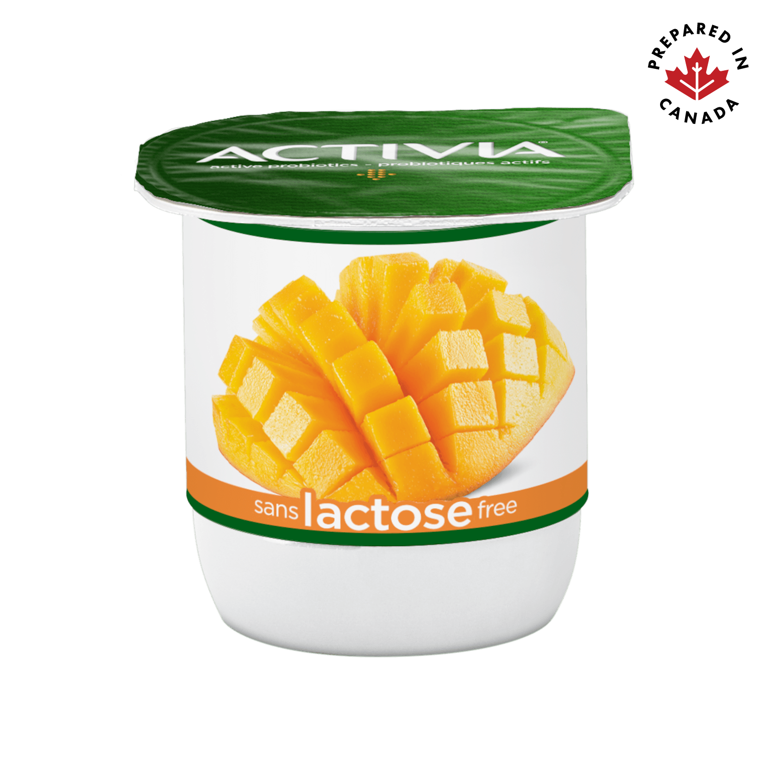Lactose Free Mango Probiotic Yogurt | Activia