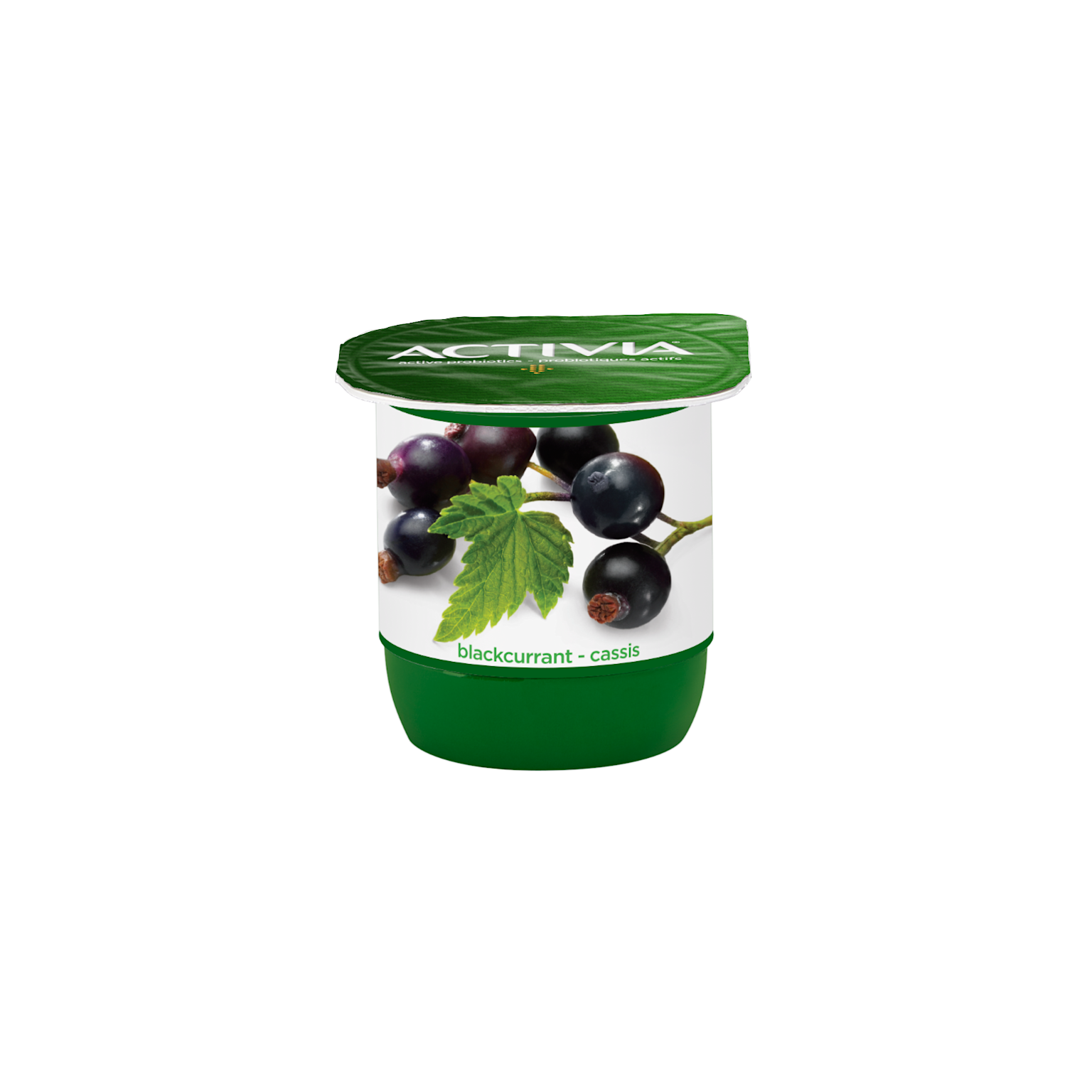 Blackberry Probiotic Yogurt | Activia