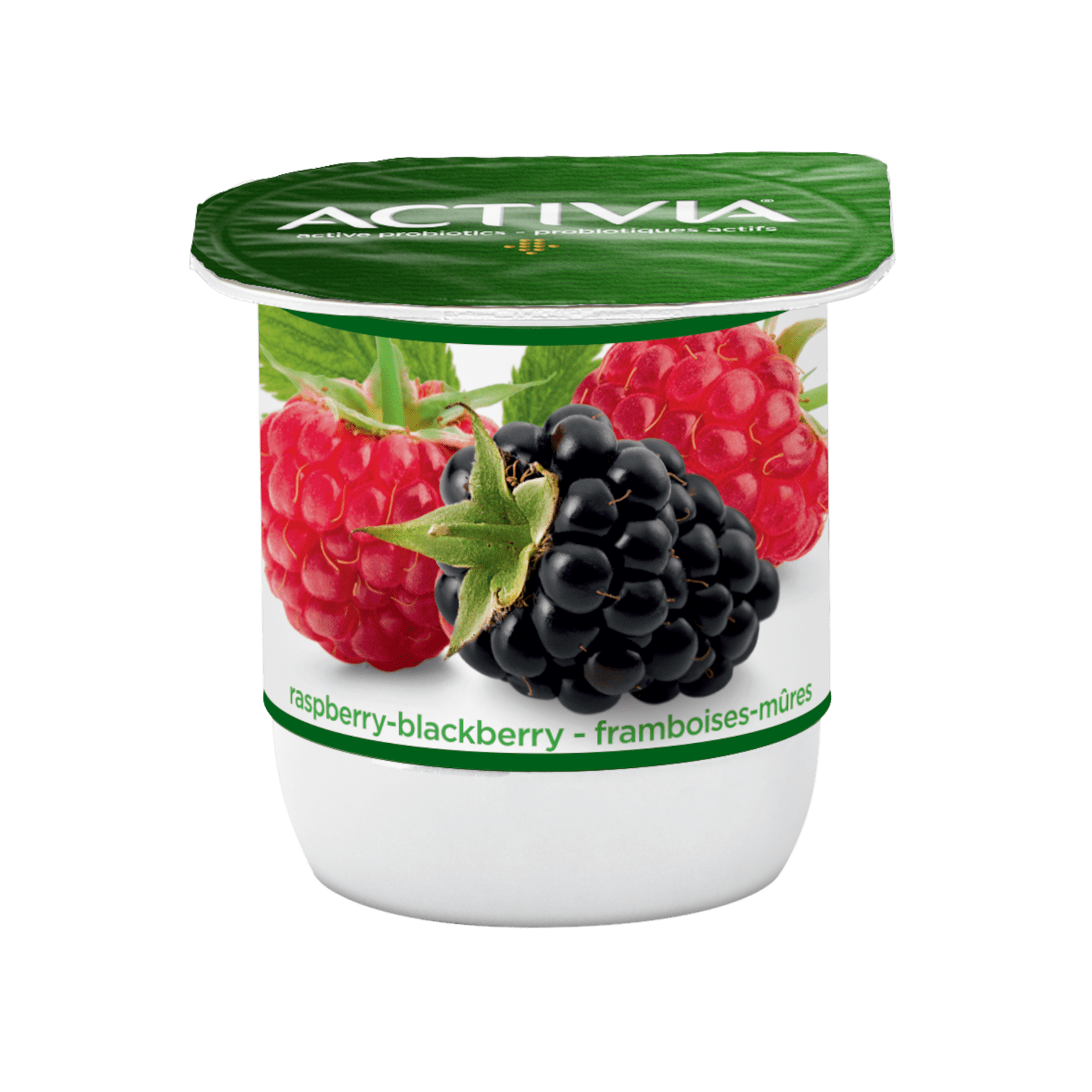 Vanilla Probiotic Yogurt | Activia