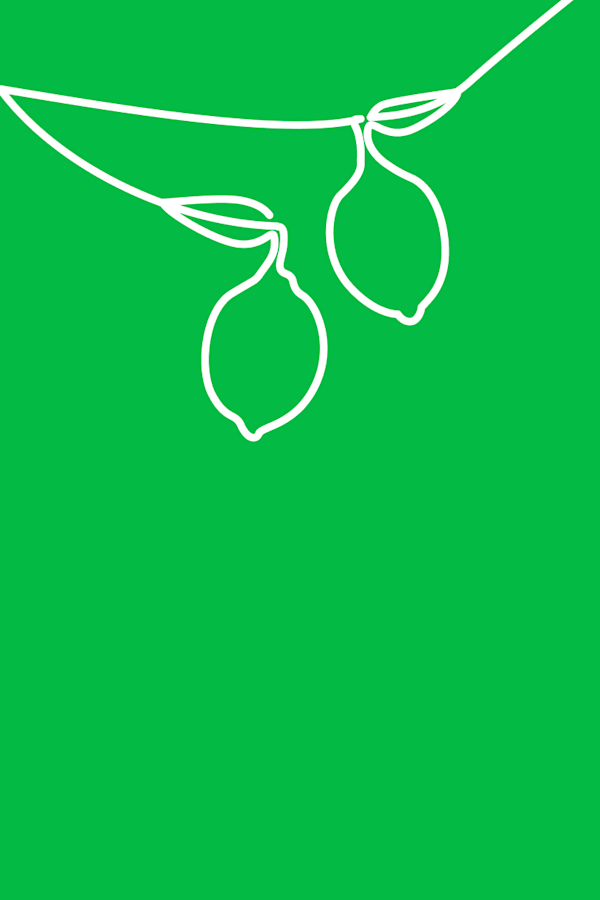 Het ontstaan van onze Bifidus ActiRegularis®