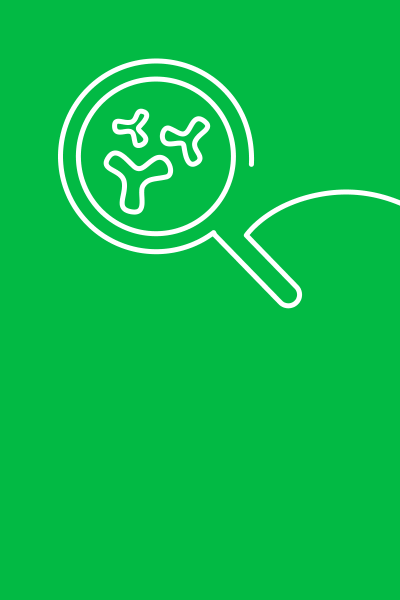 Tot ce trebuie să știi despre Bifidus ActiRegularis