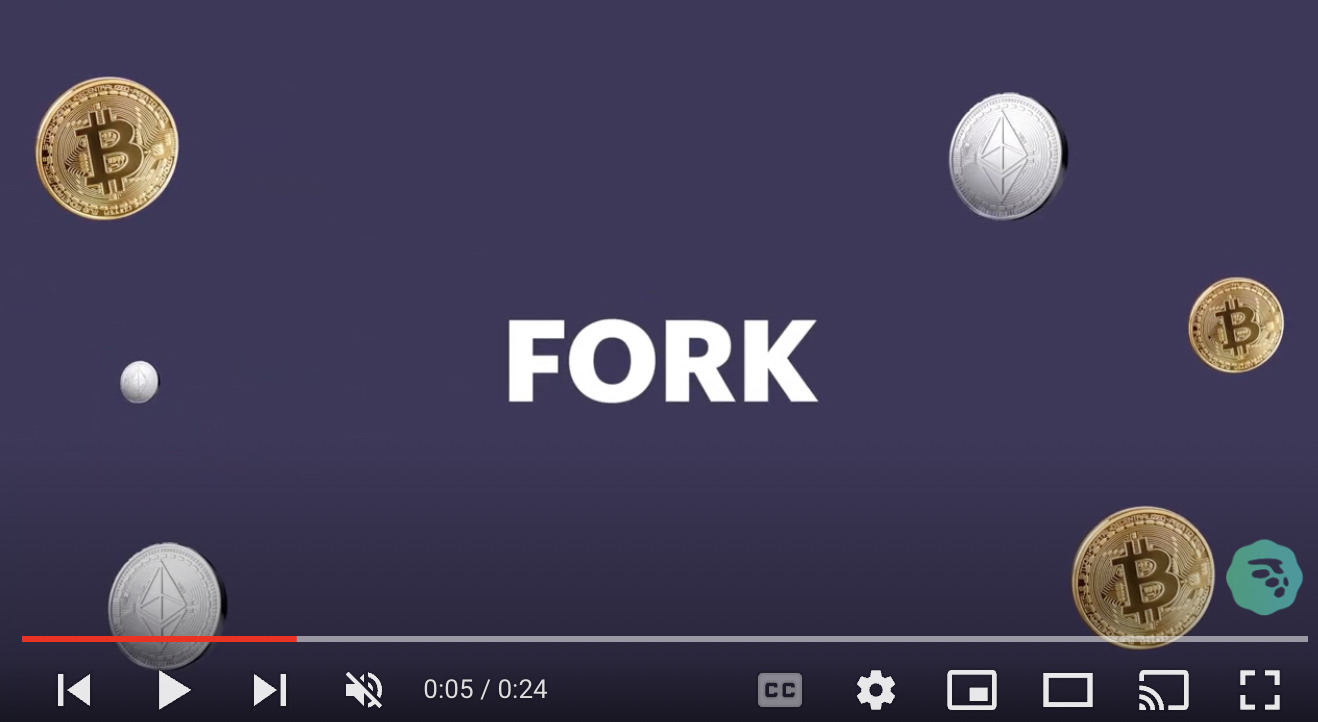 What is a Crypto Fork? | MoneyLion