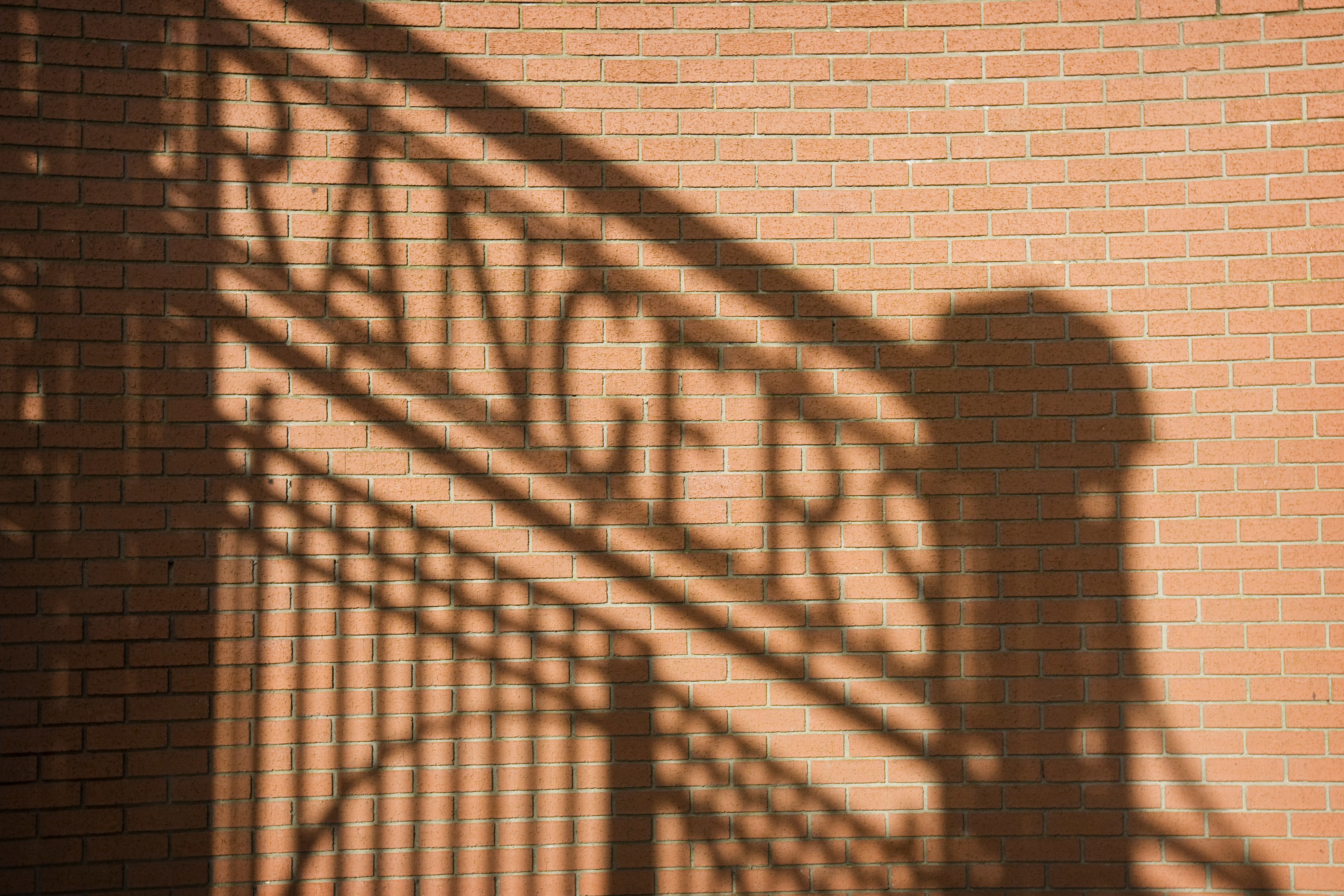 David Hagen | Rangers Football Club