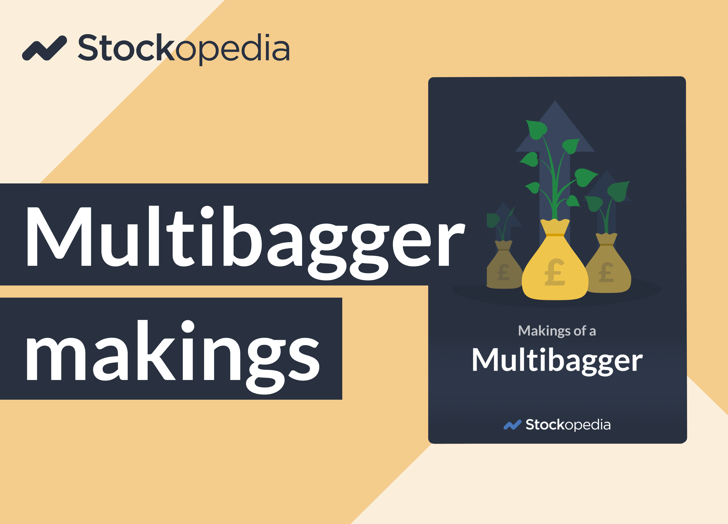 Makings of a multibagger
