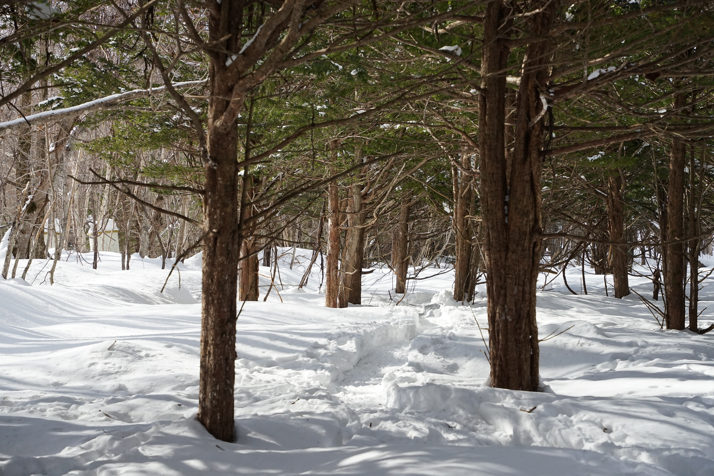 Shikotsu–Toya 6 Day Winter Hiking Tour - Adventure Hokkaido