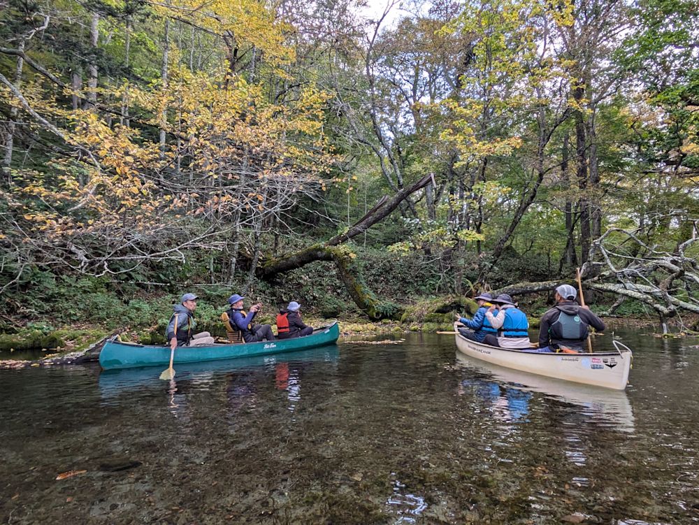 Japan's Far East Wildlife & Adventure Tour 2024 - Adventure Hokkaido