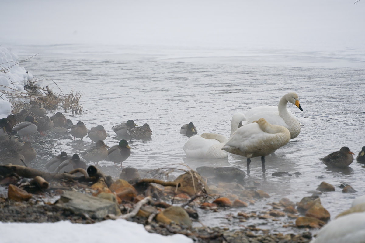 How to Onsen (Like a Local!) - Adventure Hokkaido