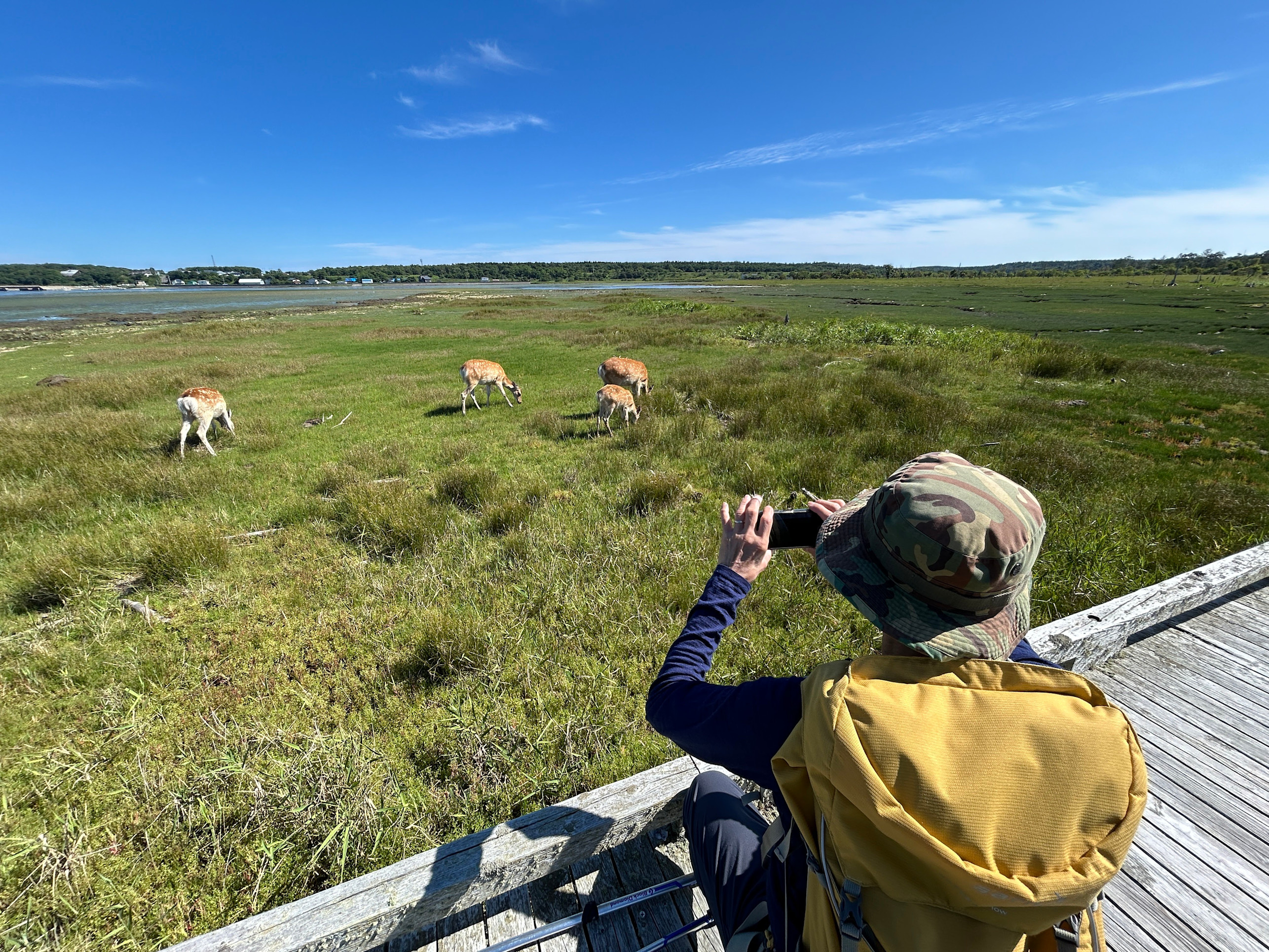 Japan's Far East Wildlife & Adventure Tour 2024 - Adventure Hokkaido