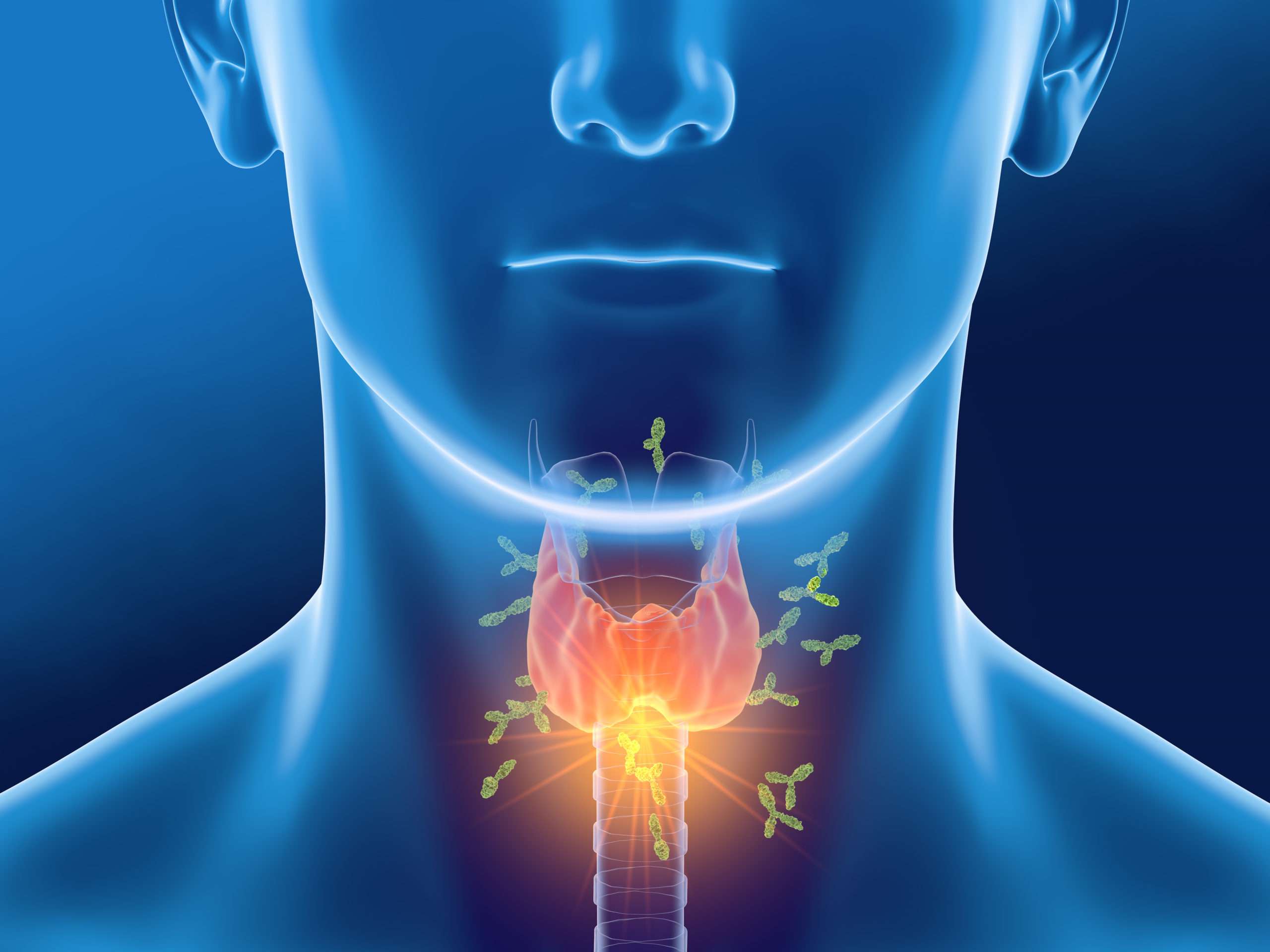 Hormone Medications And Endocrine Health Latest Updates | AchieveCE