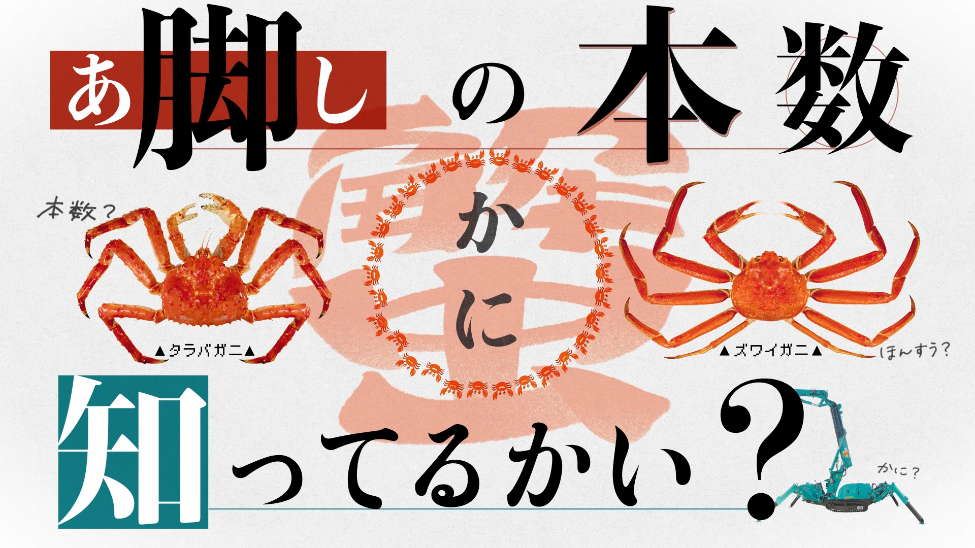 前田製作所 | TVCM「脚の本数」篇 | invisi