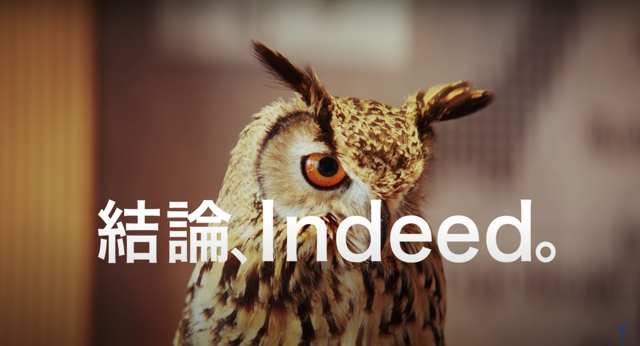 Indeed｜CM「採用コンシェルジュ」篇 | invisi