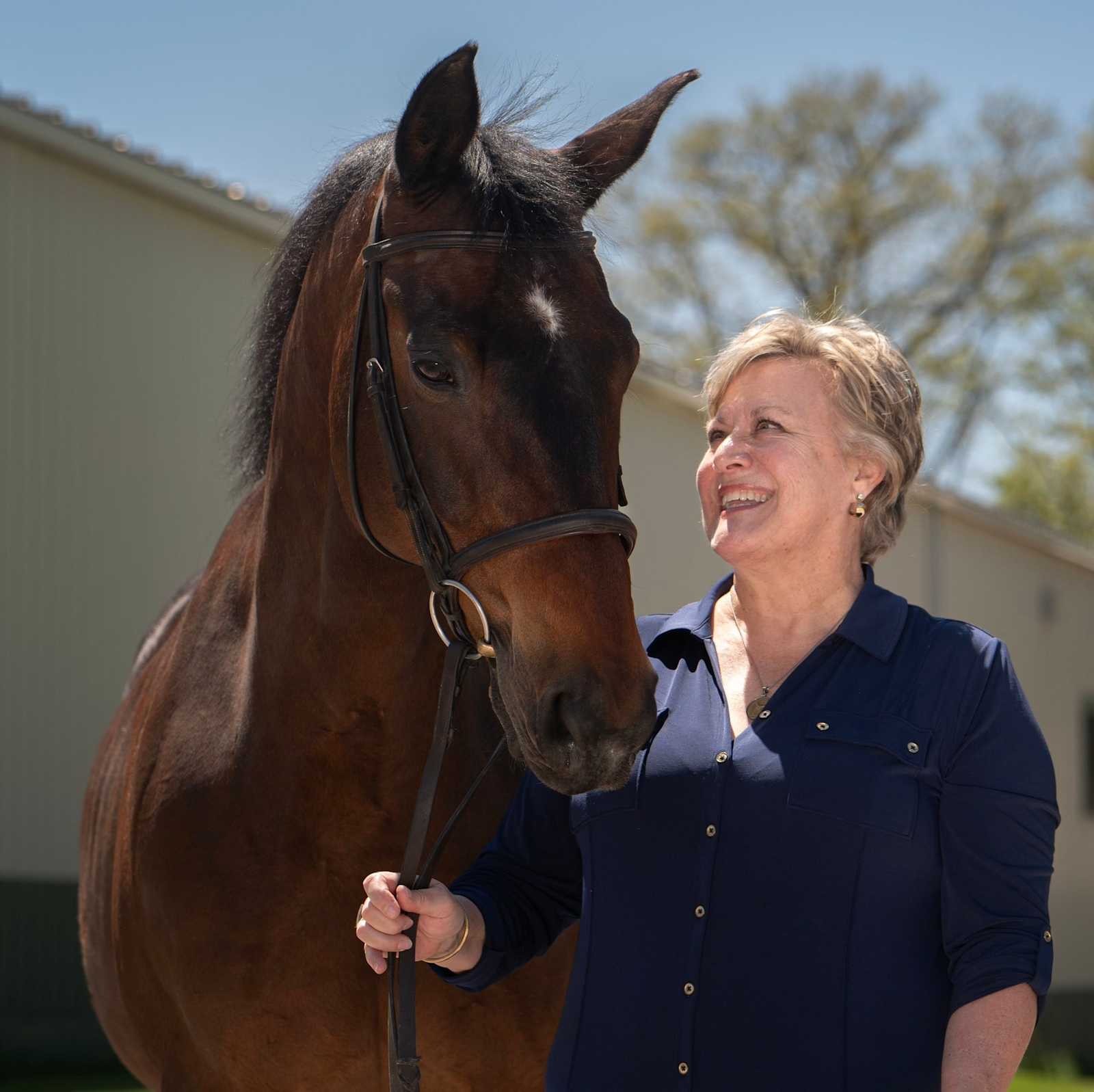 Equine Facility Management | Lake Erie College