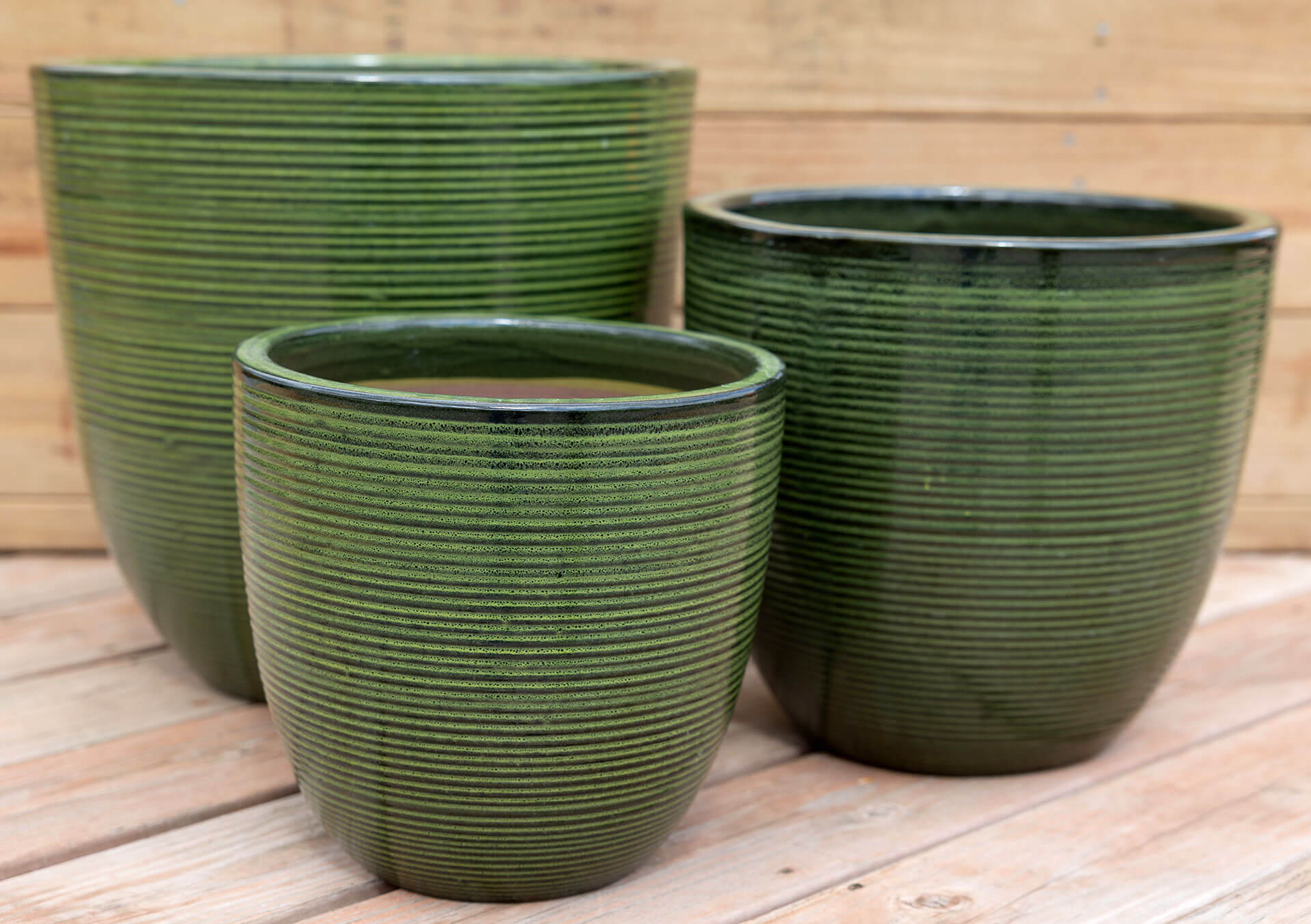 Beautiful Flower Delivery in Minneapolis | Bachman's Floral, Home and ...