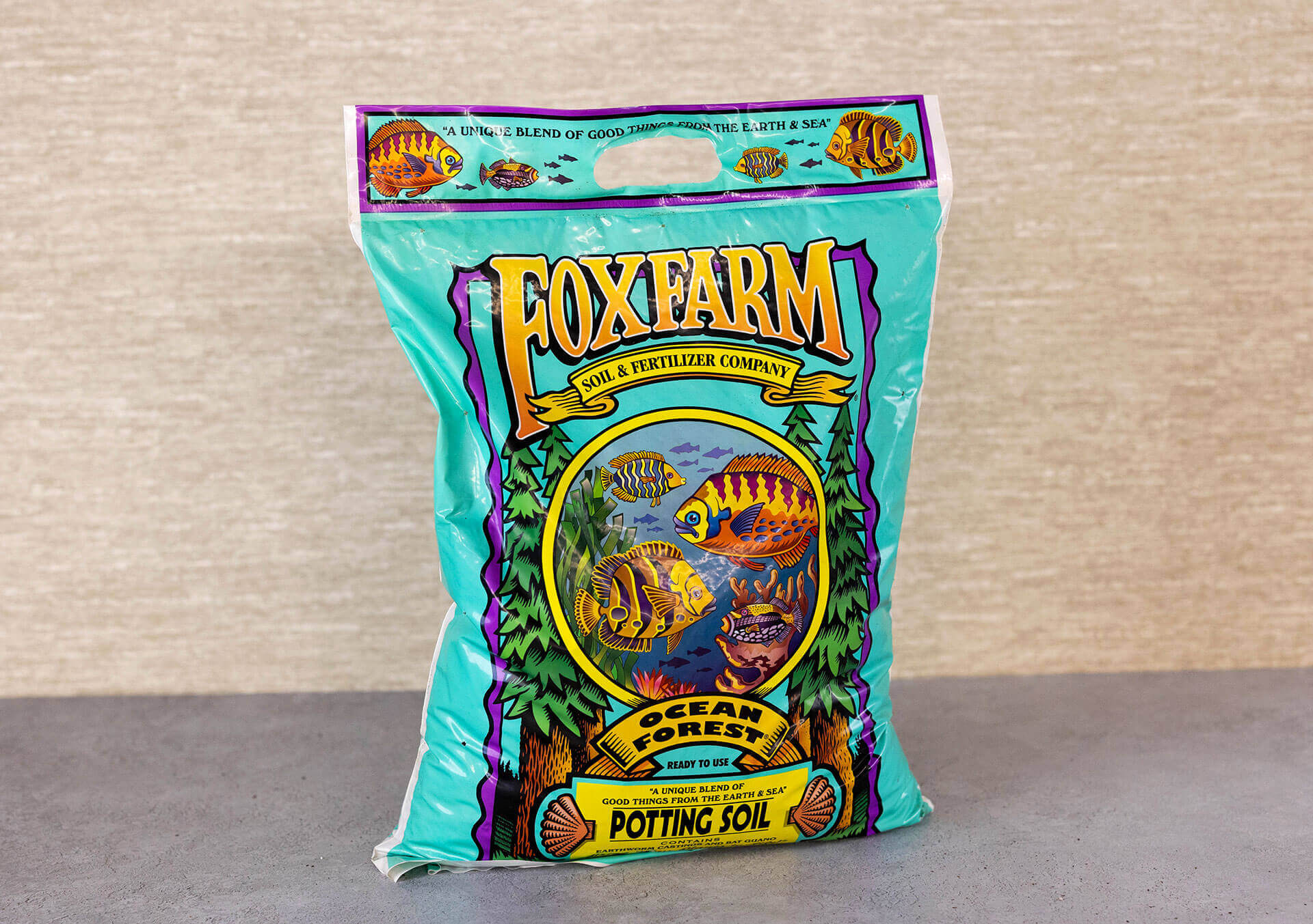 Seeds and Bulbs for Sale in Minnesota at Bachman's