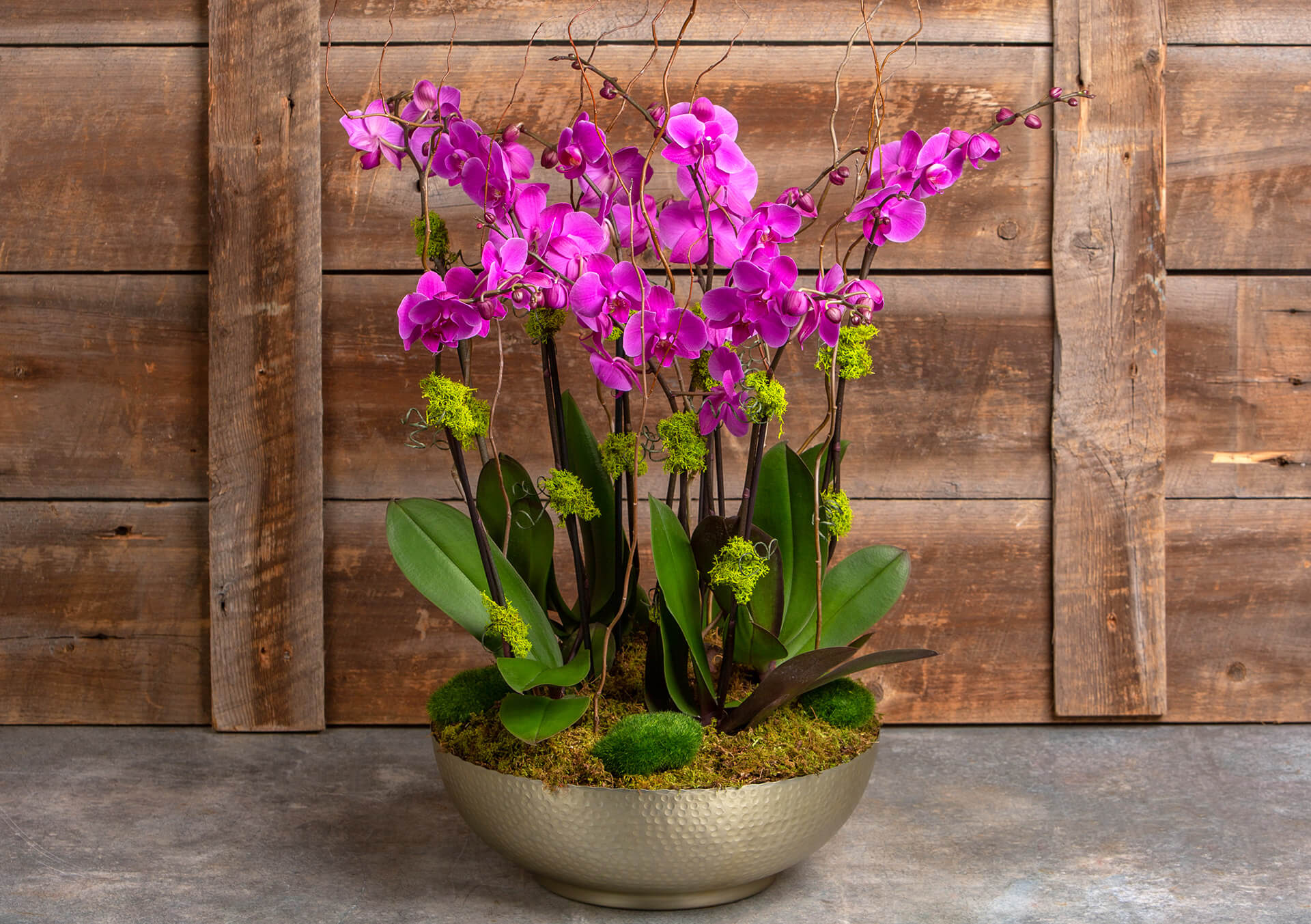 Send Minneapolis Funeral Flowers & Sympathy Gifts Online | Bachman's ...