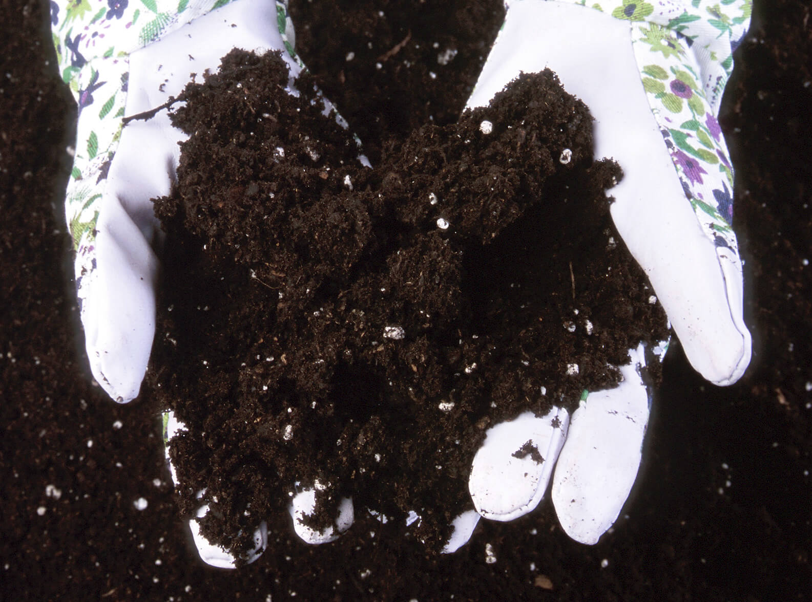 Buy Gardening & Lawn Care Supplies Online for Minneapolis Delivery ...