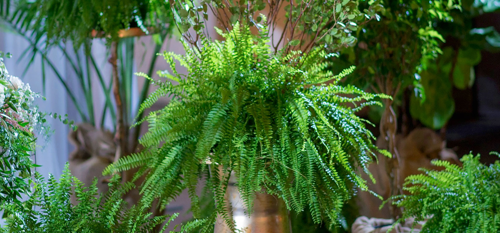 Special Event Floral Design Services | Bachman's