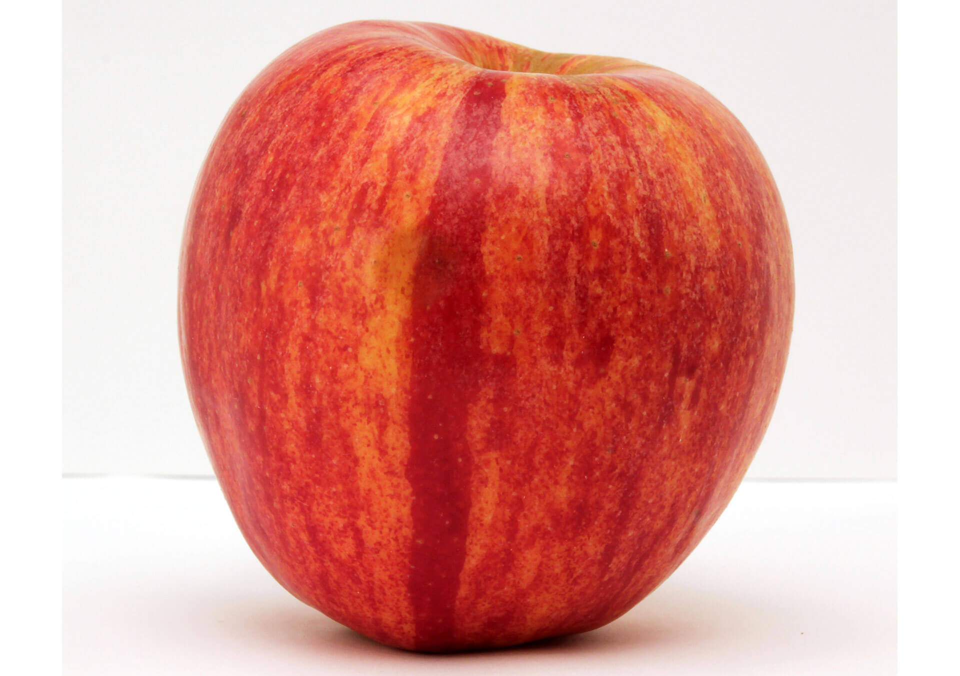 Yard Trees for Sale in Minnesota at Bachman's