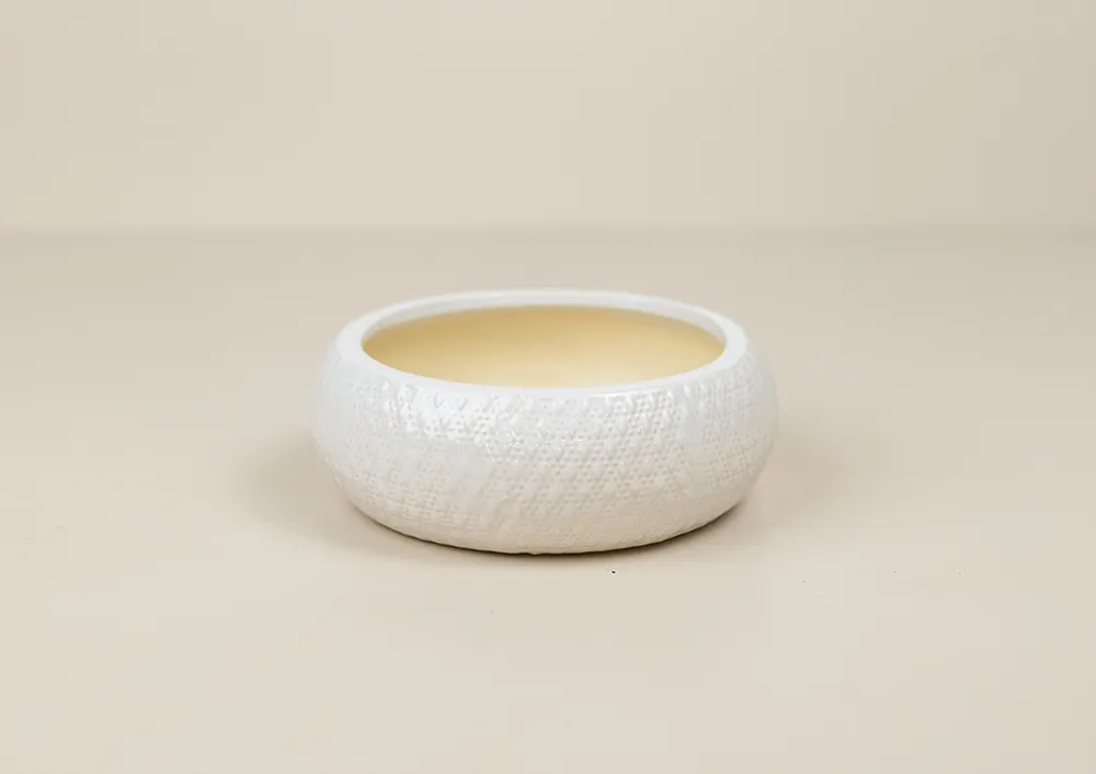 Indoor Decorative Pots and Planters for Sale in Minnesota at Bachman's