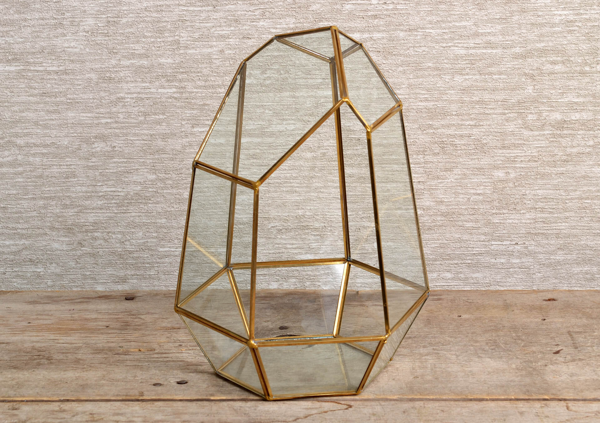 Geometric Terrarium
