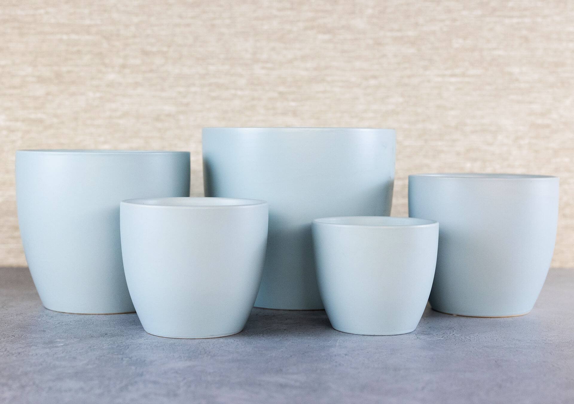 Indoor Decorative Pots and Planters for Sale in Minnesota at Bachman's