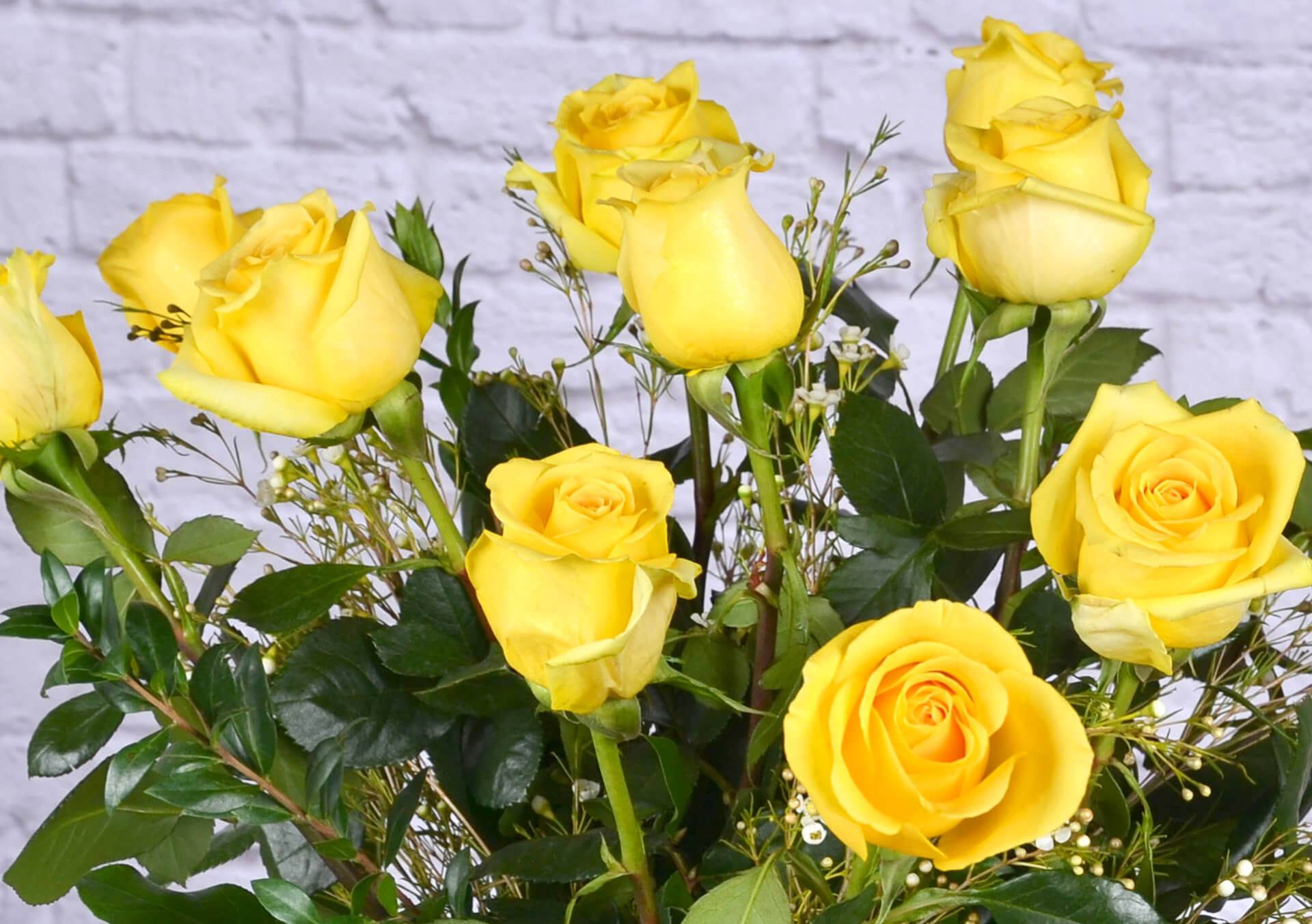 Long-stem Roses & Rose Bouquets | Bachman's
