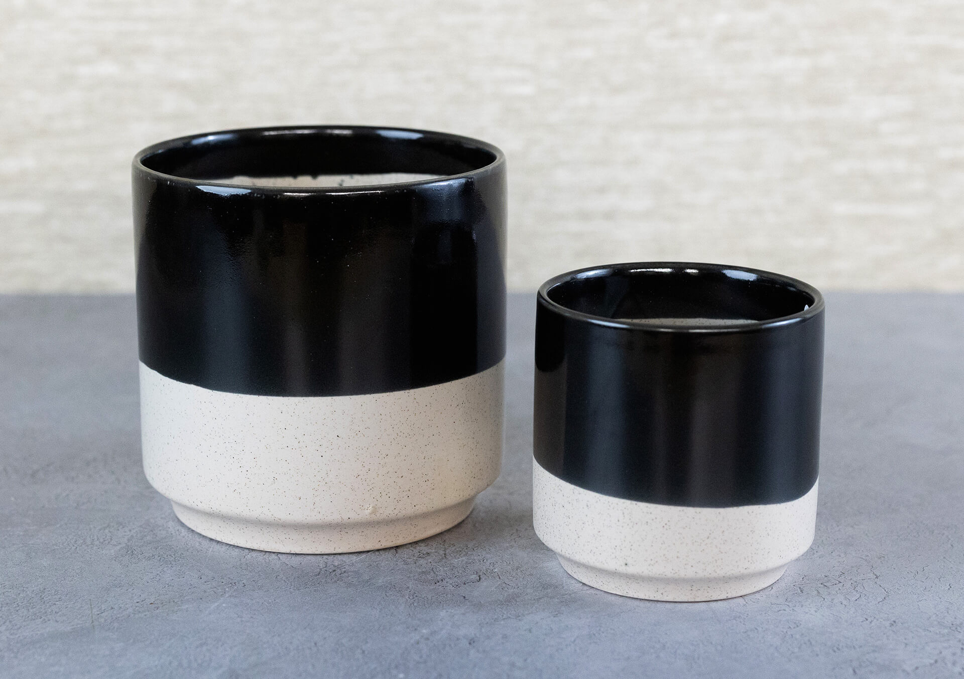 Indoor Decorative Pots and Planters for Sale in Minnesota at Bachman's