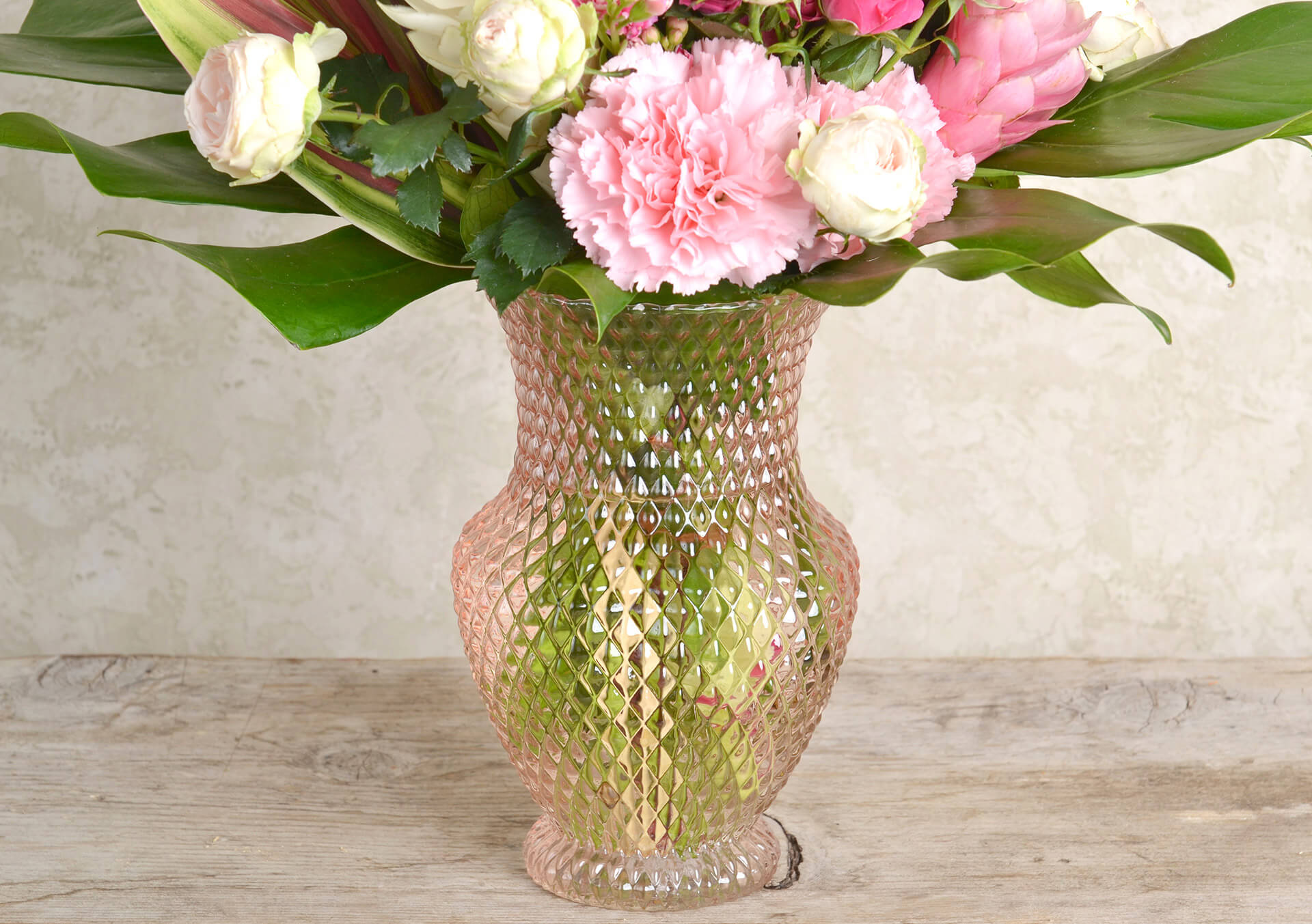 Welcome to Bachmans.com