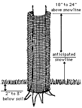 Winter Protection for Landscape Plants in Minnesota | Bachman’s Minnesota