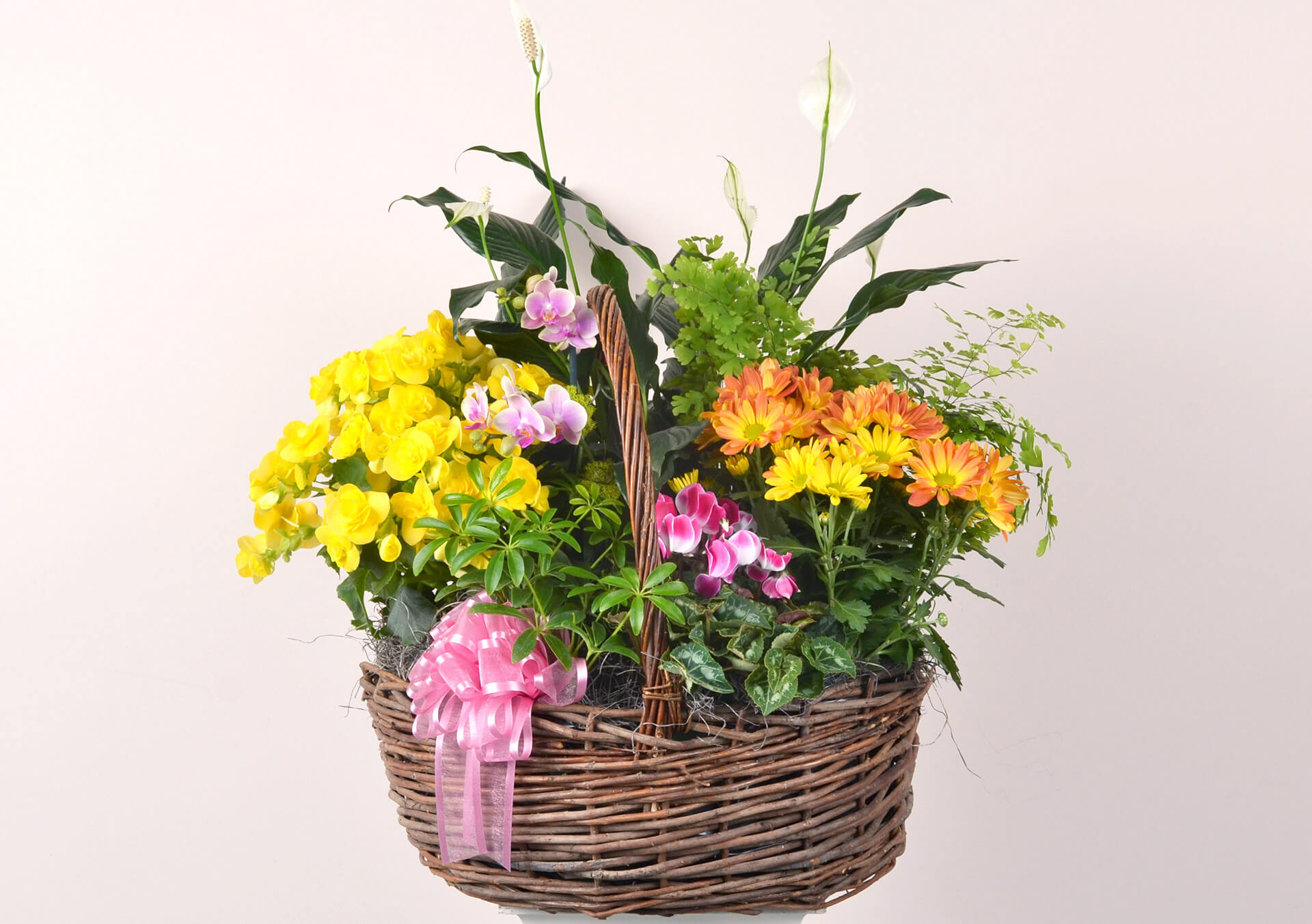 Specialty Planters + Basket Arrangements in Minnesota at Bachman's