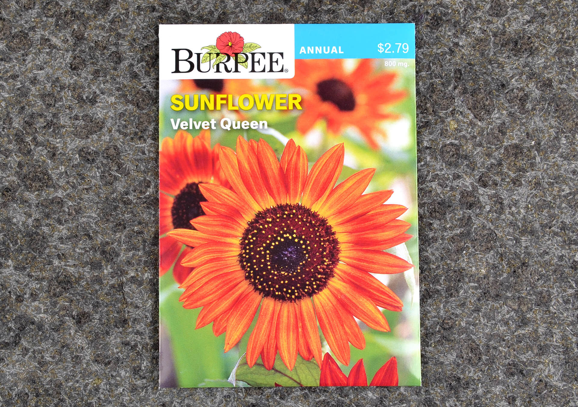 Shop Flower Seeds For Seed Starting And Gardening | Bachman's