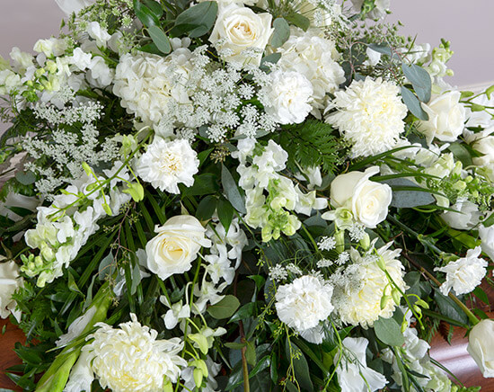 Sympathy & Memorial Collections | Bachman's