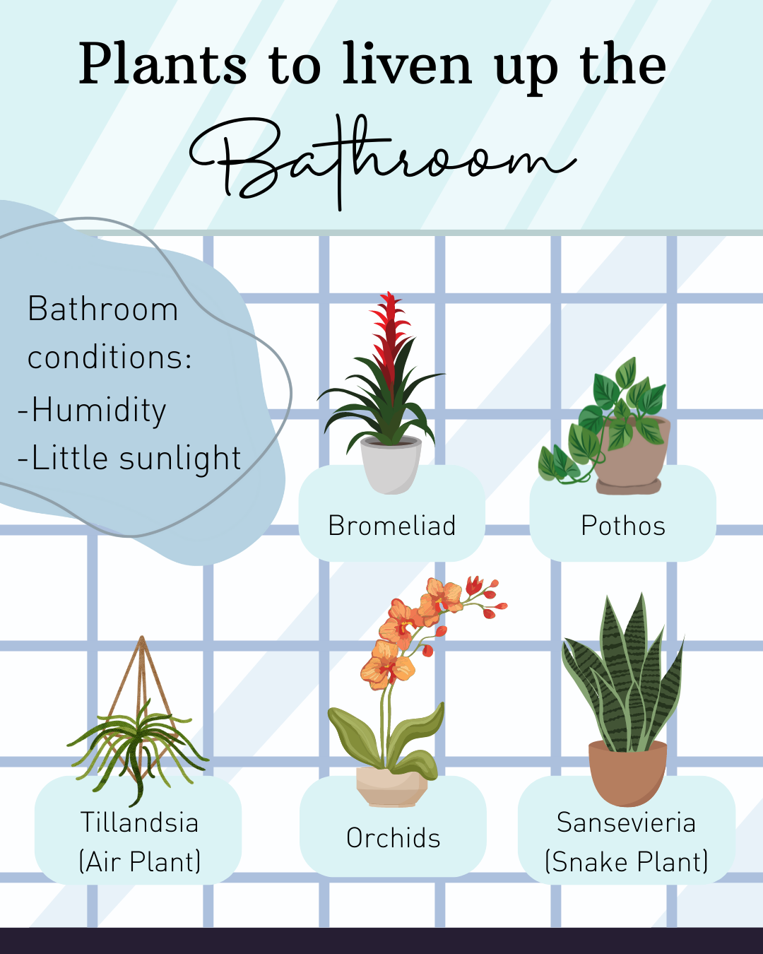 Bachman's Garden & Plant Care Information | Garden Experts