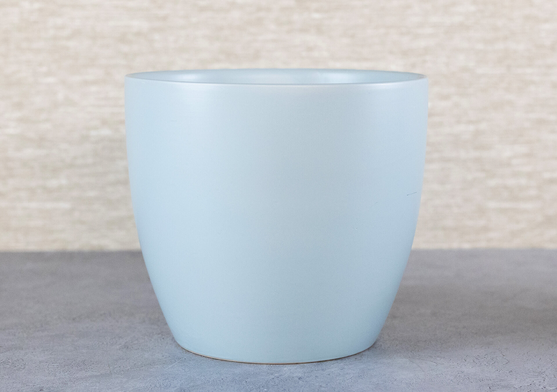 Shop Houseplant Pots and Containers | Bachman's