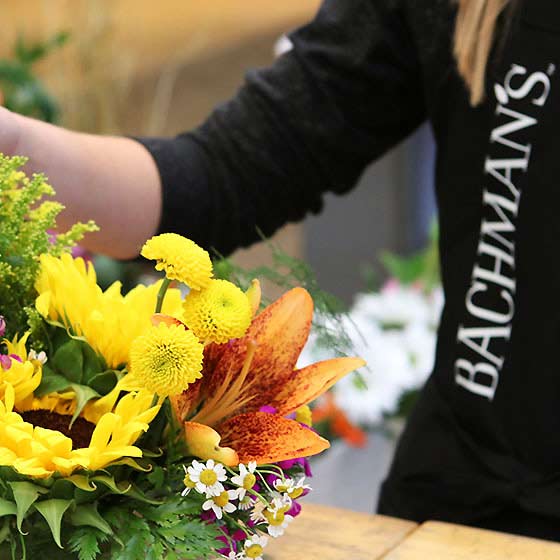 Order Flowers Online For Same Day Delivery | Bachman's