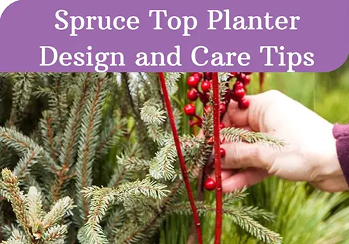 Spruce Top Decorating Ideas How To Make A Spruce Top Pot YouTube