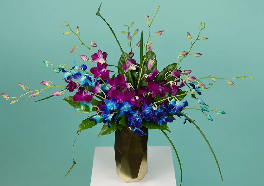 Bachman's Garden Center & Flower Delivery in Minneapolis | Local MN ...