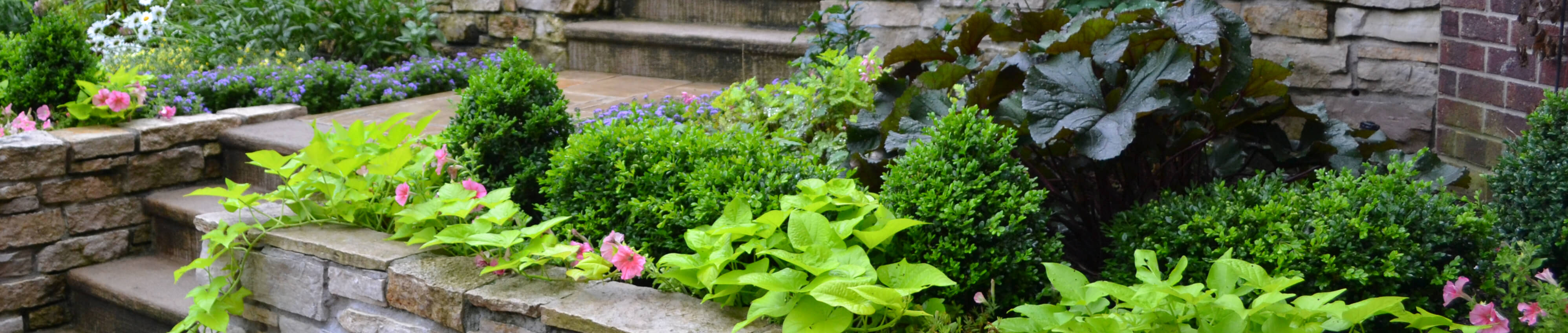 Measuring Your Garden for Planting | Bachman’s