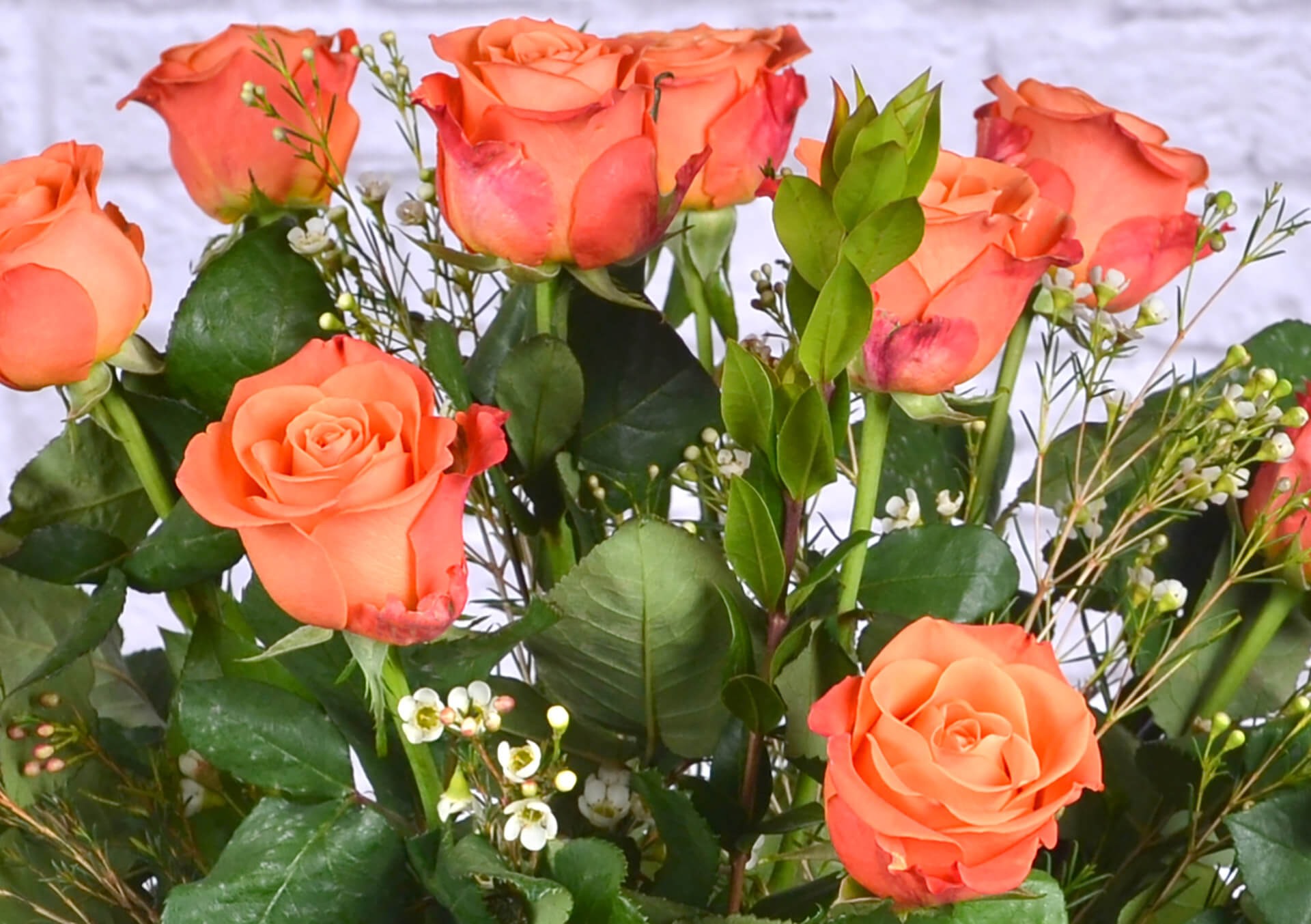 Long-stem Roses & Rose Bouquets | Bachman's
