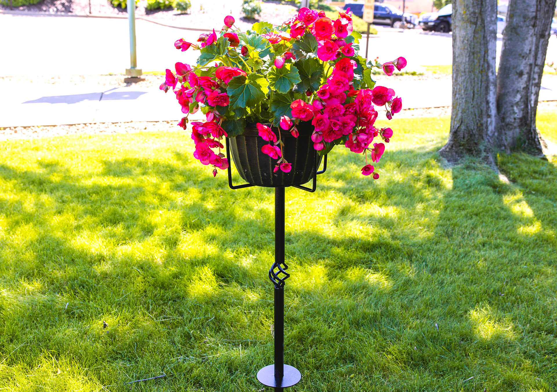 Outdoor Planters for Sale in Minnesota at Bachman's