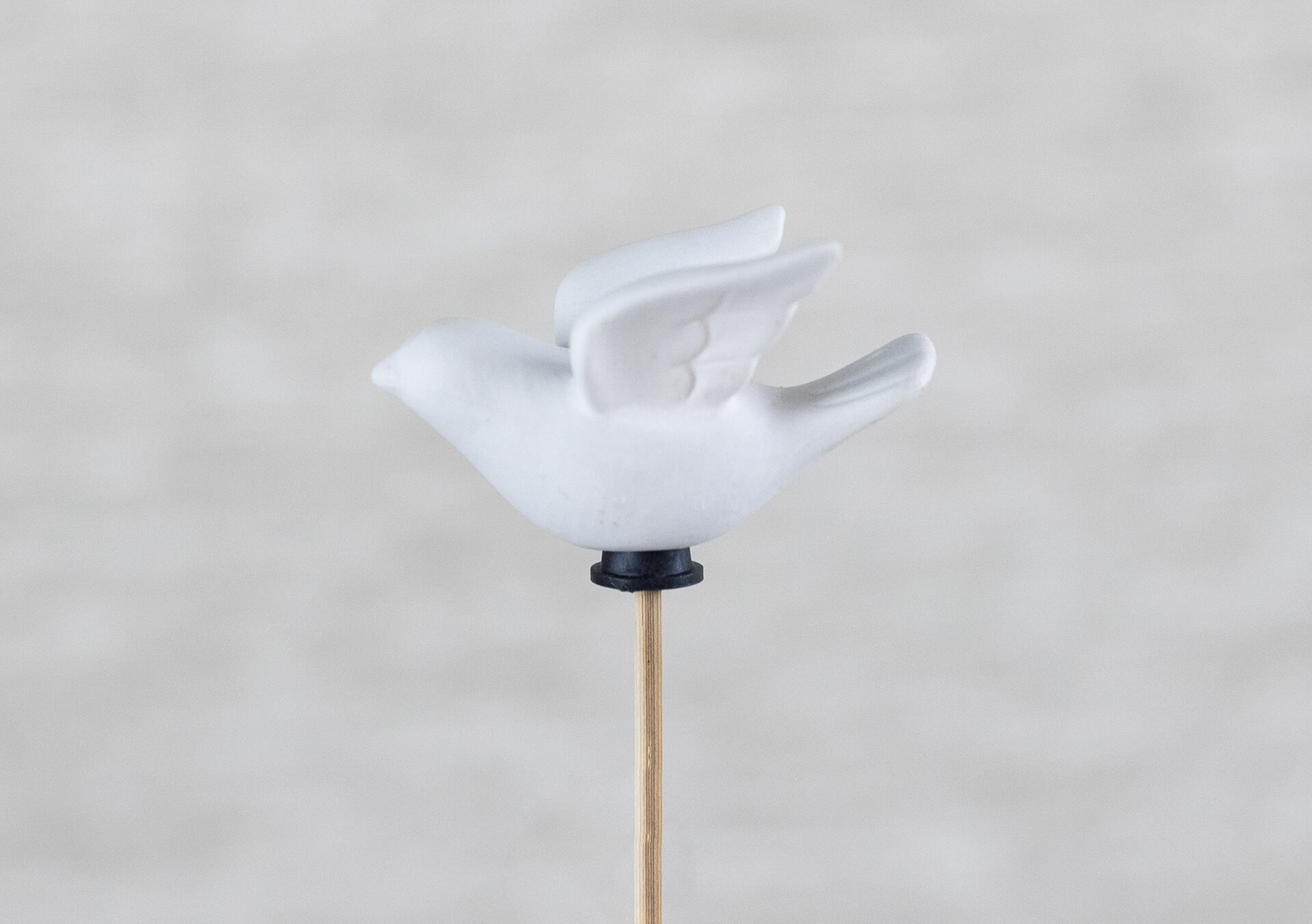 Outdoor Garden Accents, Decor & Statues | Bachman's MN