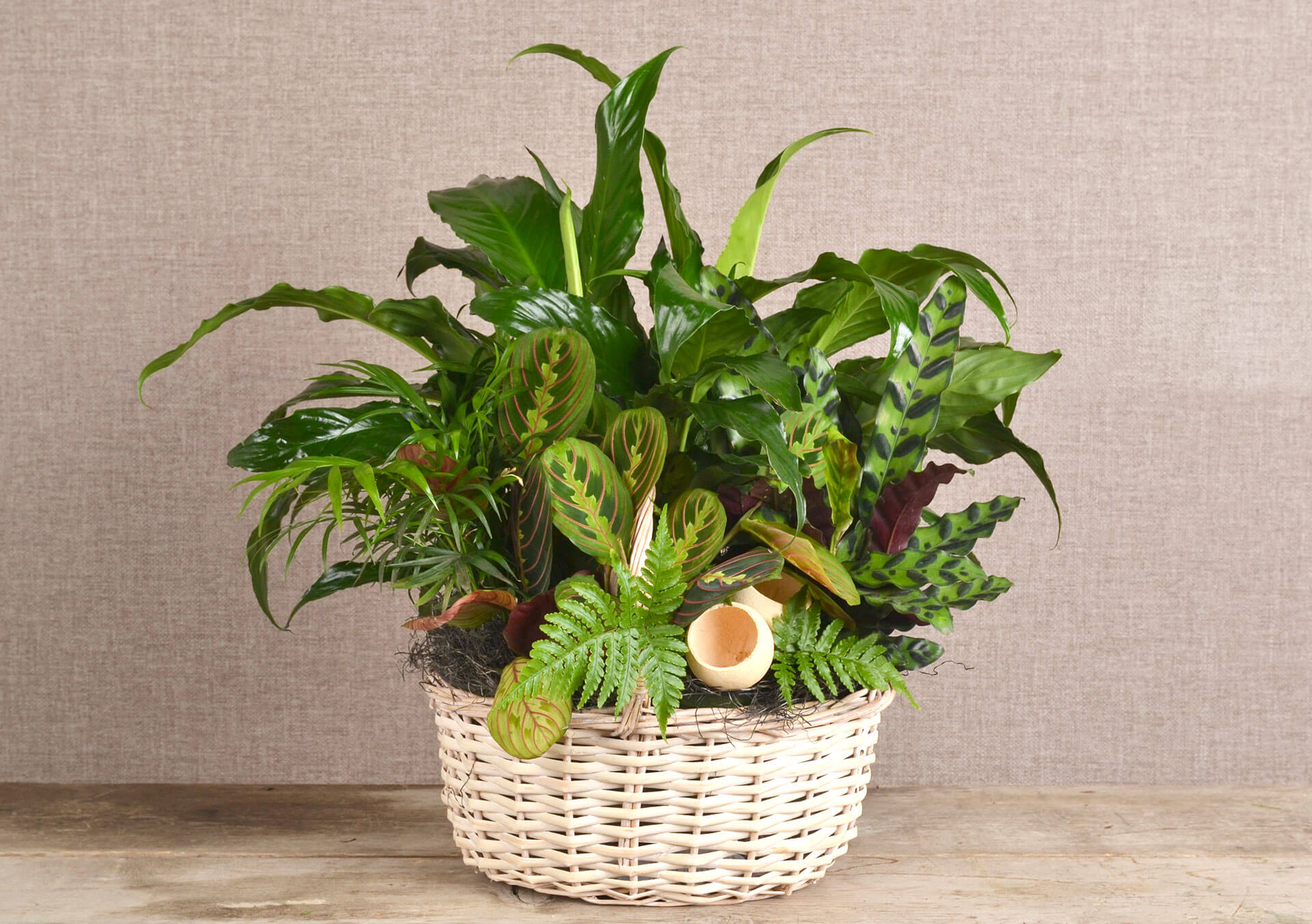 Specialty Planters + Basket Arrangements in Minnesota at Bachman's