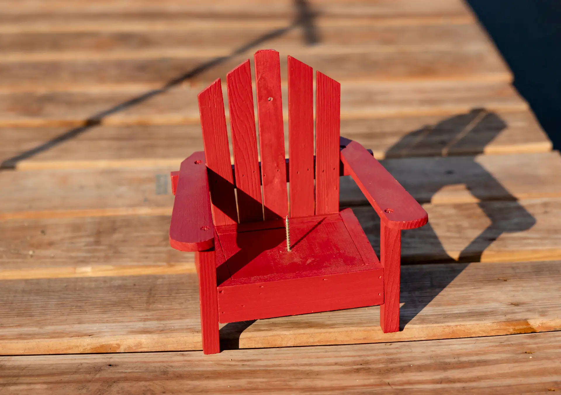 Outdoor Bird, Bee and Butterfly Care for Sale Minnesota at Bachman's