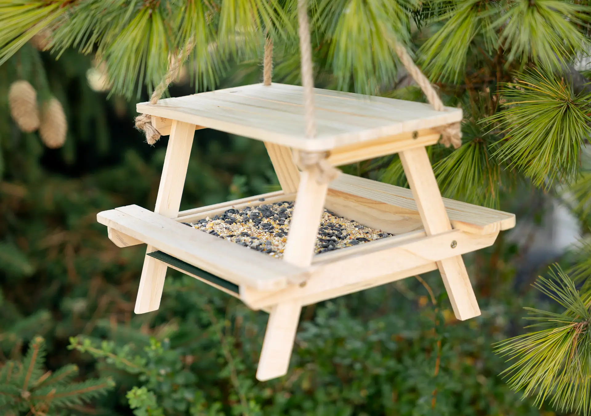 Gifts for the Bird Lover | Bachman's